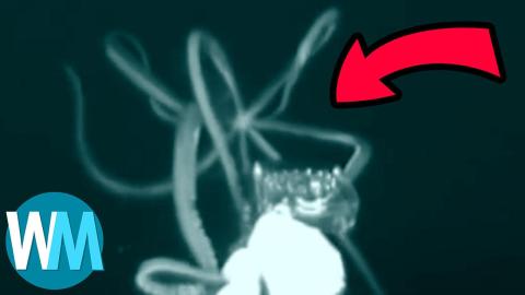 TOP 10 des CHOSES les plus EFFRAYANTES trouvées dans l'OCÉAN ! | Videos ...