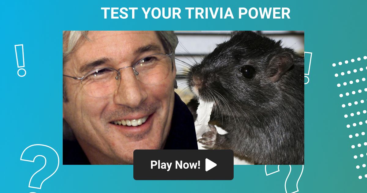 WatchMojo | Trivia | Top 10 Funniest Urban Legends