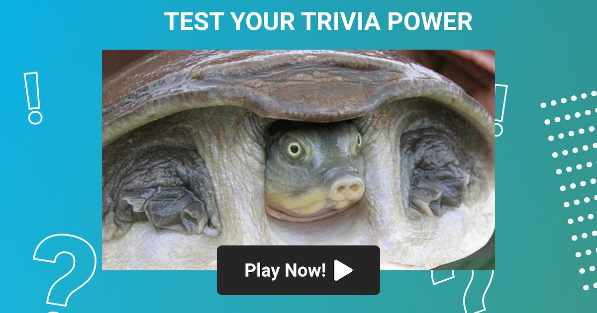 WatchMojo | Trivia | Top 10 Extraordinary Rare Animals