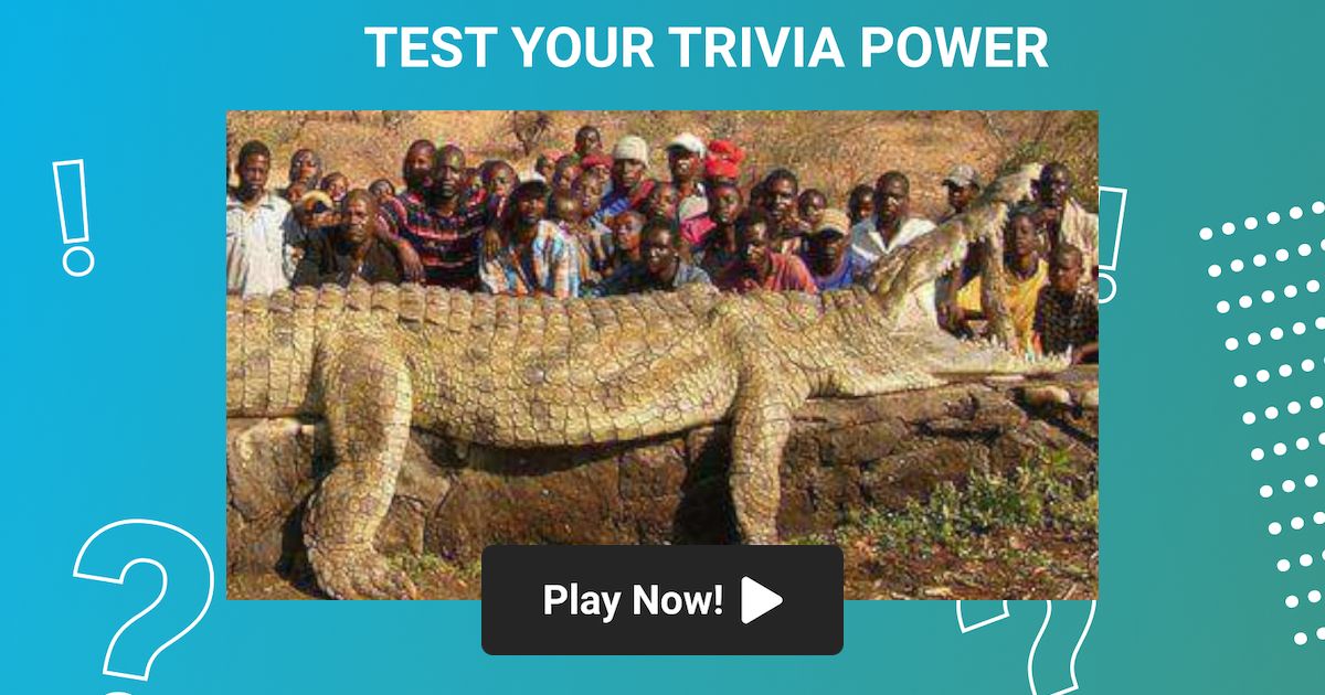 WatchMojo | Trivia | Top 10 Most Terrifyingly COLOSSAL Animals of All Time