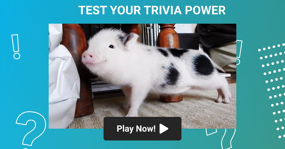Top 10 Funniest Viral Animal Videos Ever | Trivia on WatchMojo.com
