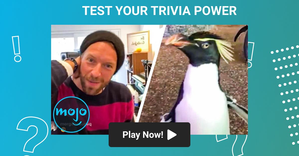 Top 10 Positive News Stories of 2020 That Give Us Hope | Trivia on ...