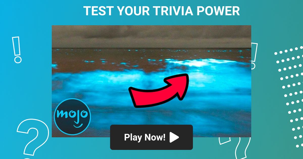 Top 10 Mysterious Ocean Secrets | Trivia on WatchMojo.com