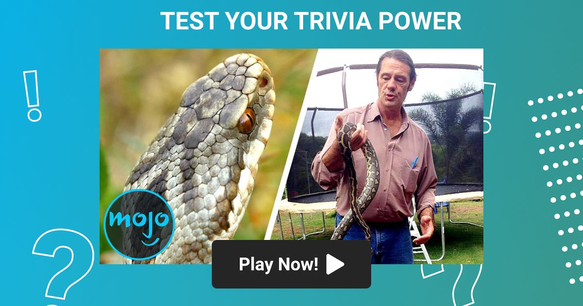 Top 10 Real Life Snake Attack Stories | Trivia on WatchMojo.com