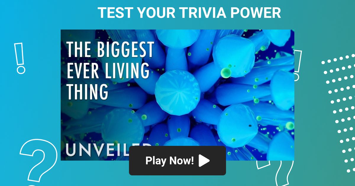 WatchMojo | Trivia | Scientists Uncover the World's Largest Organism ...