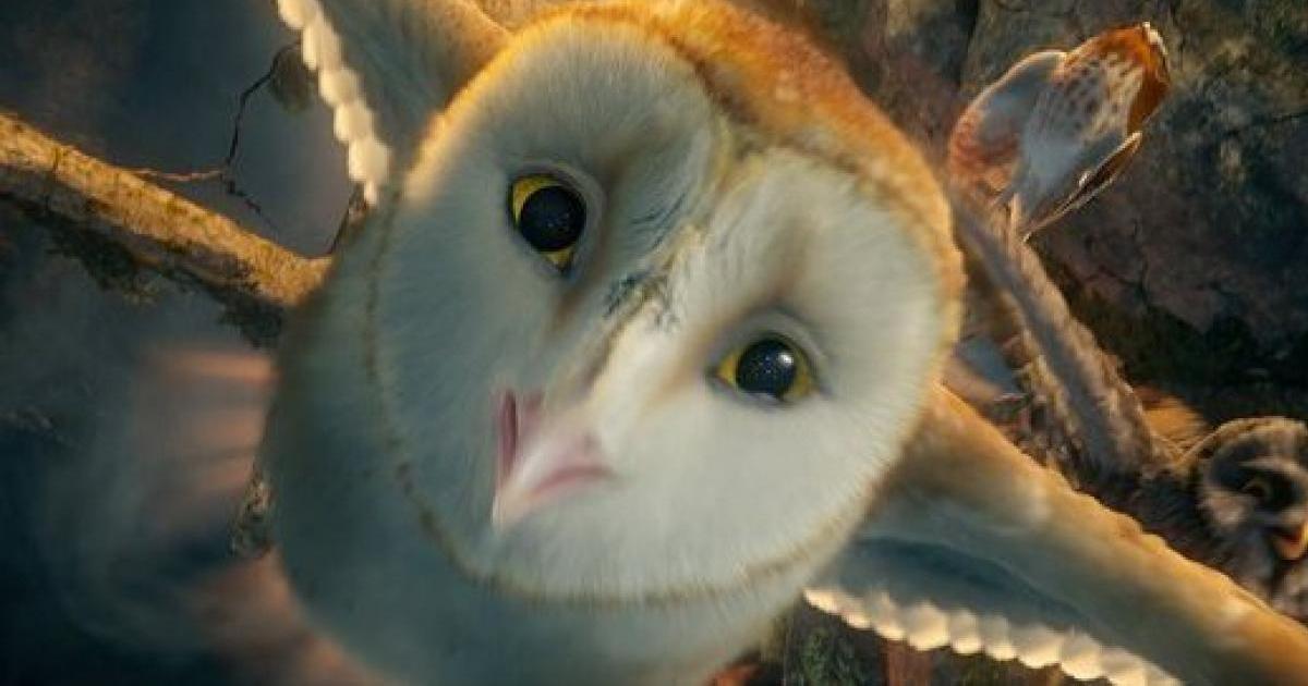 Top 10 Fictional Movie and TV Owls | WatchMojo.com