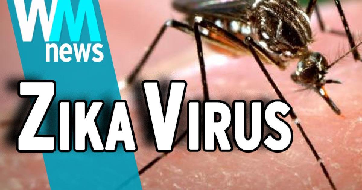 Top 10 Need To Know Zika Virus Facts | Articles on WatchMojo.com