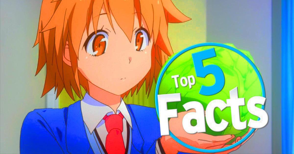 Top 5 Anime Facts | Articles on WatchMojo.com