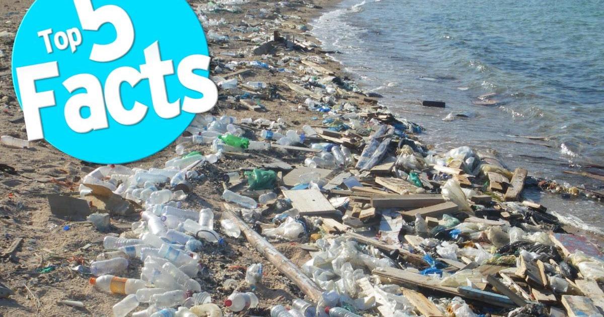 Top 5 Facts about Plastic | Articles on WatchMojo.com