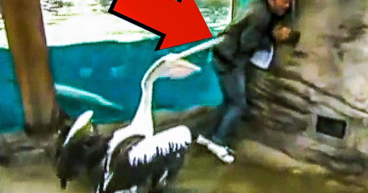 Top 10 Cringe Worthy Weatherman FAILS | Articles on WatchMojo.com