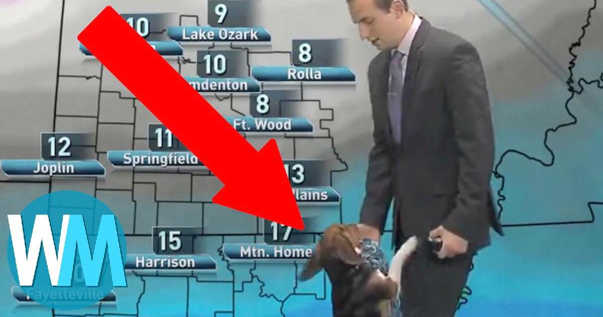 Another Top 10 Embarrassing News Reporting Fails | Articles on ...