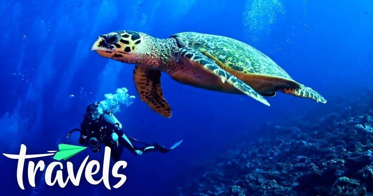 Top 10 Scuba Diving Destinations | Videos on WatchMojo.com