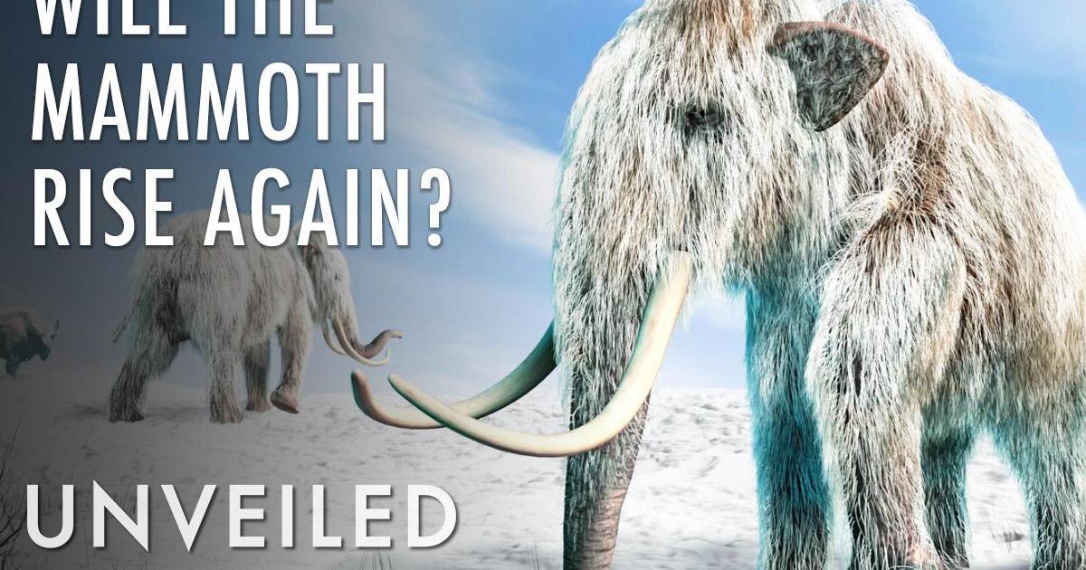 Are Scientists About to Clone a Mammoth? | Unveiled | Articles on ...
