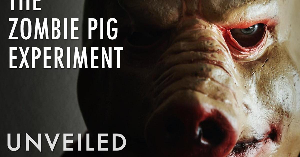 Did Scientists Just Prove Life After Death - With Zombie Pigs ...