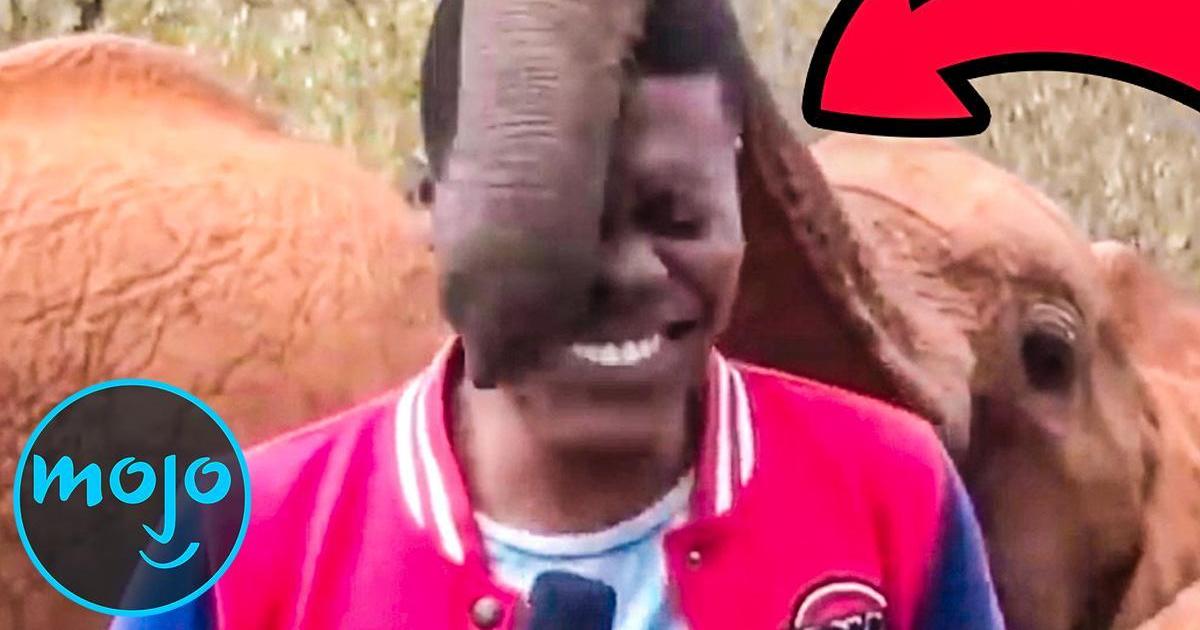 Top 10 Craziest Live TV FAILS of 2022 | Videos on WatchMojo.com